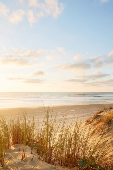 Coast Rosslare Strand Hotel | Wexford Hotels | Book Now